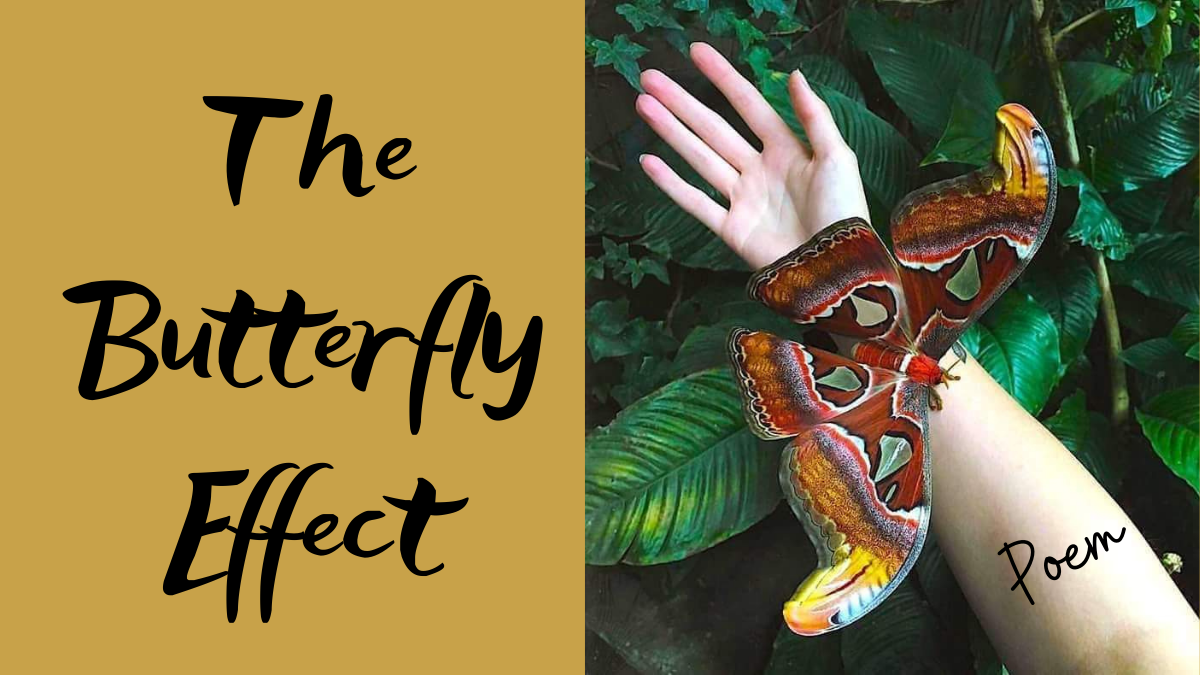 The Butterfly Effect – Simply Story Poetry