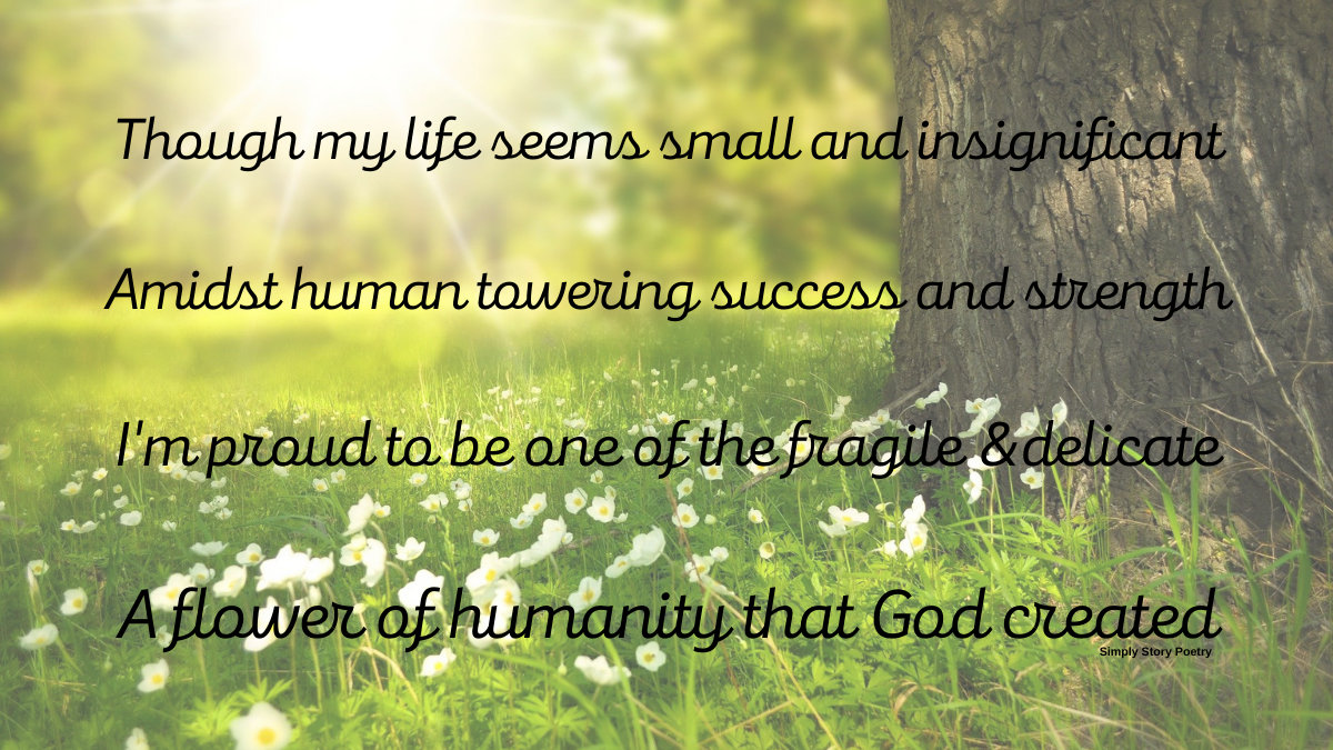 Be Proud of Your Insignificance – Simply Story Poetry