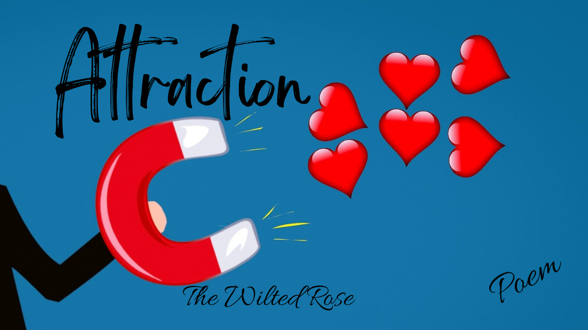 The Thrill of First Attraction – The Wilted Rose Book Part 19 – Simply ...
